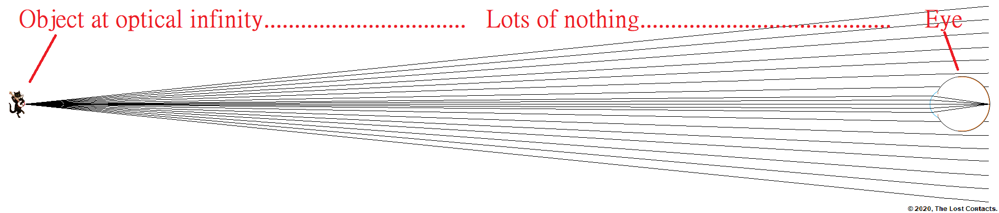 Lens Power Archives - The Lost Contacts